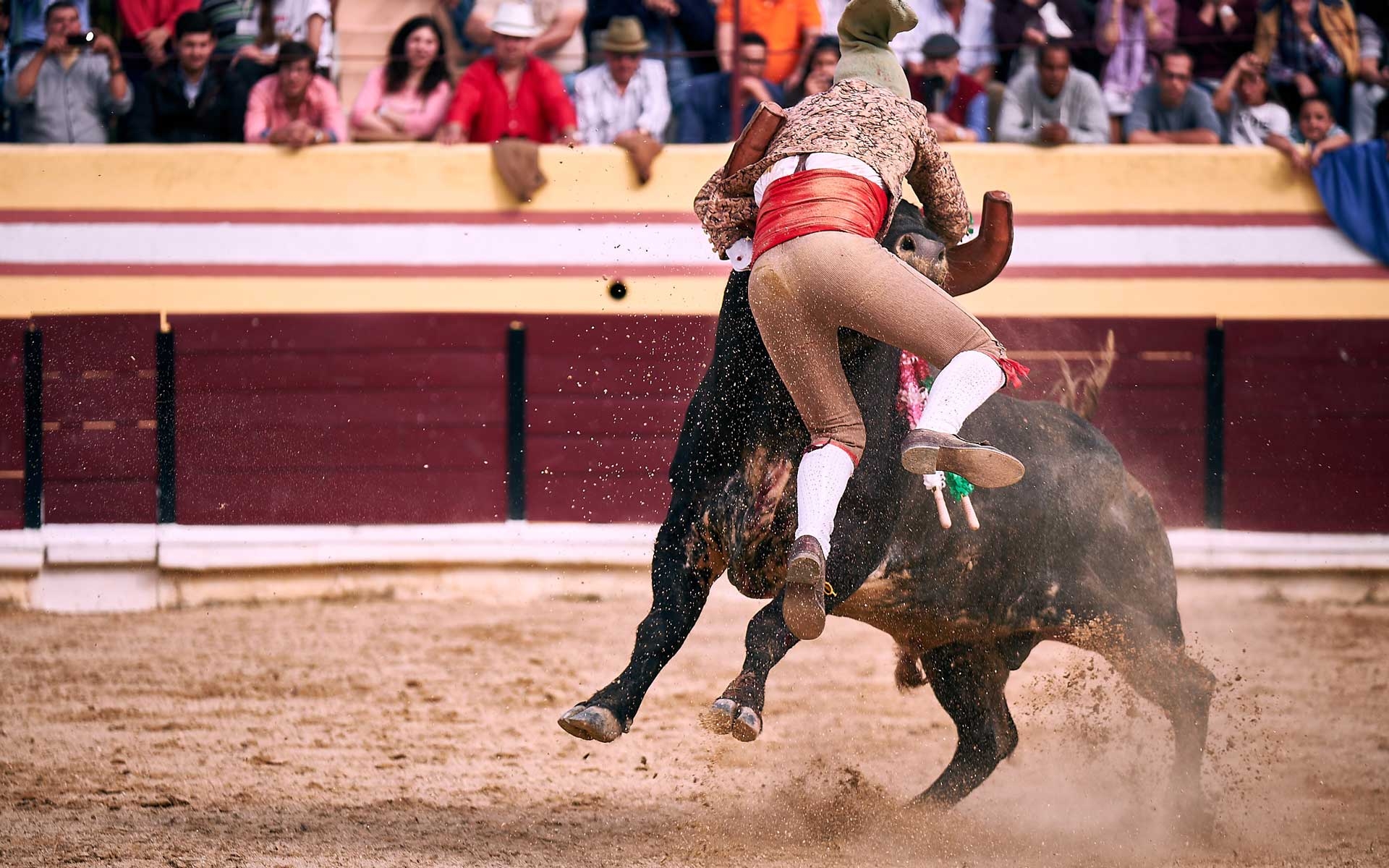 TOURADAS - Tudo o que precisas saber sobre as Touradas em Portugal